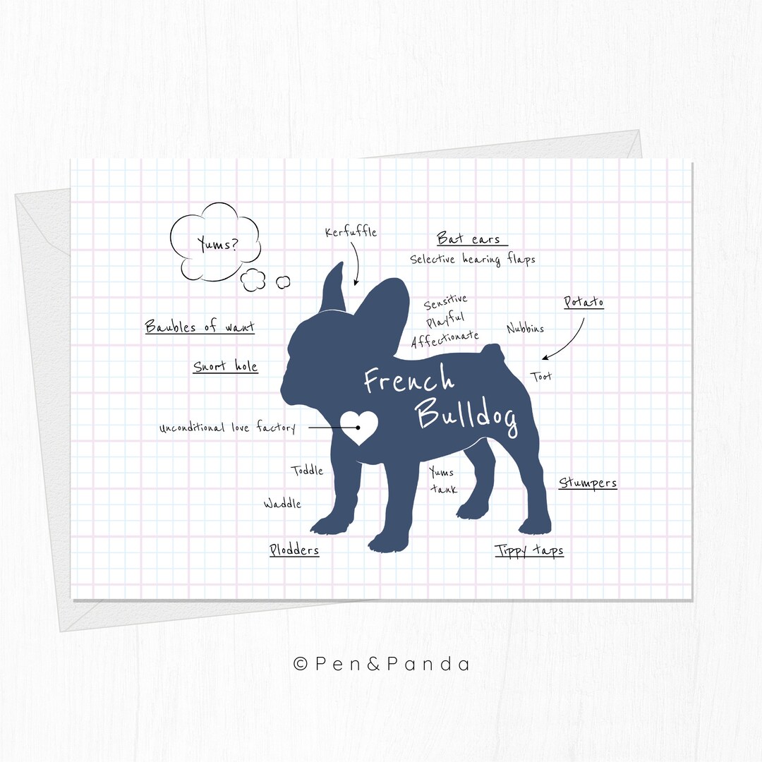 Anatomy of a French Bulldog Illustrated Greeting Card - Etsy