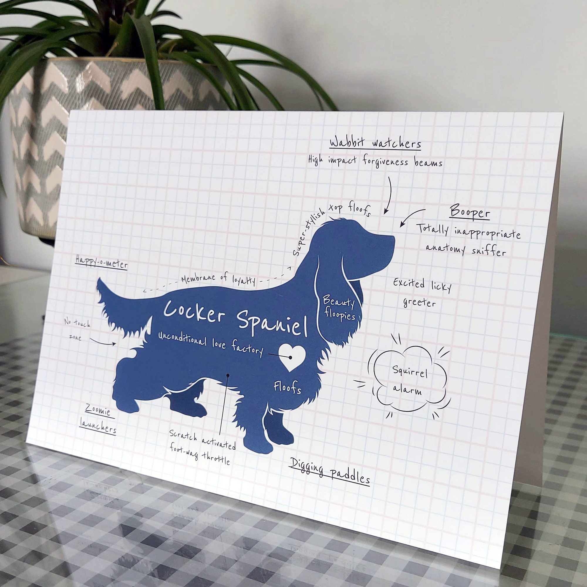Anatomy of a Cocker Spaniel Illustrated Greeting Card | Etsy