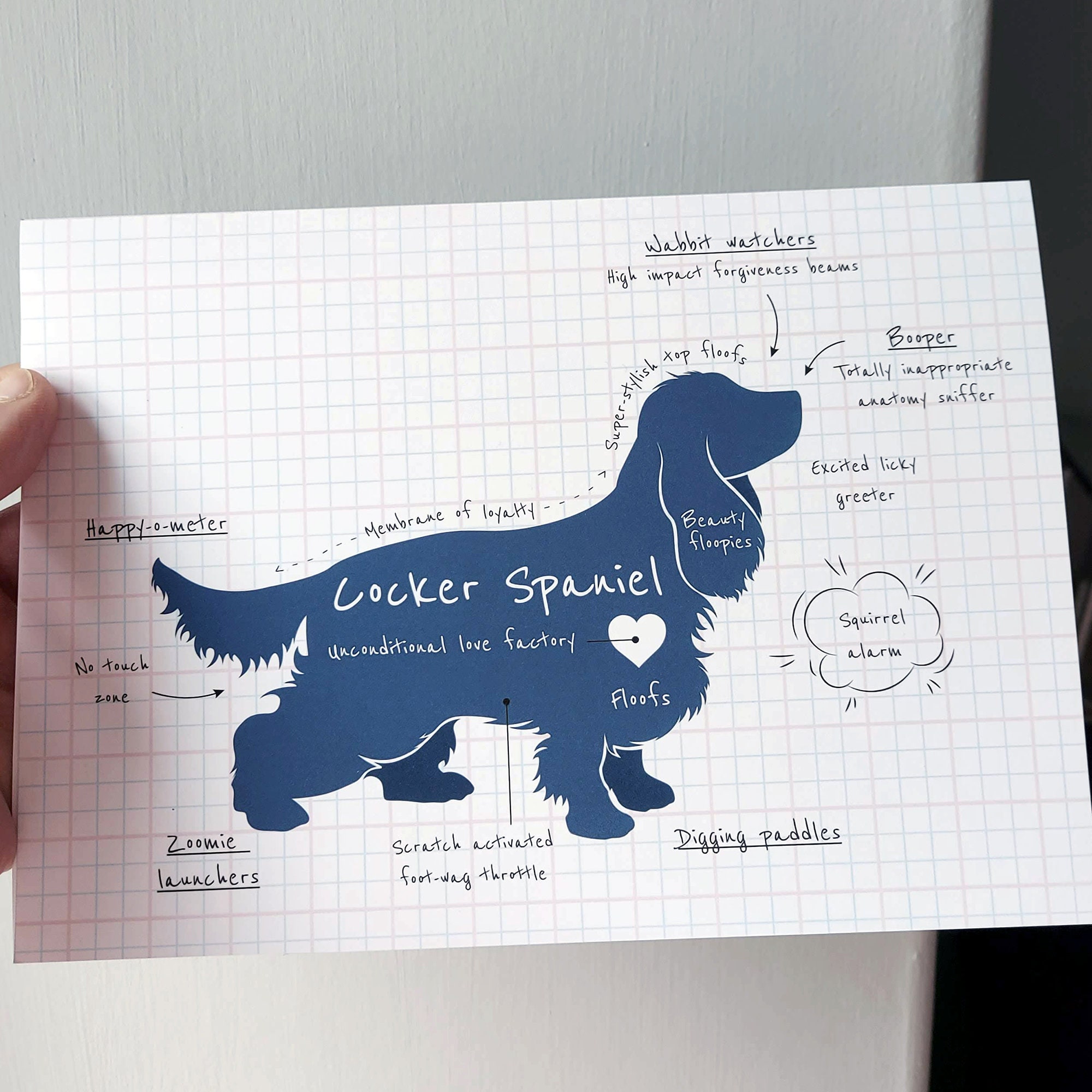 Anatomy of a Cocker Spaniel Illustrated Greeting Card | Etsy