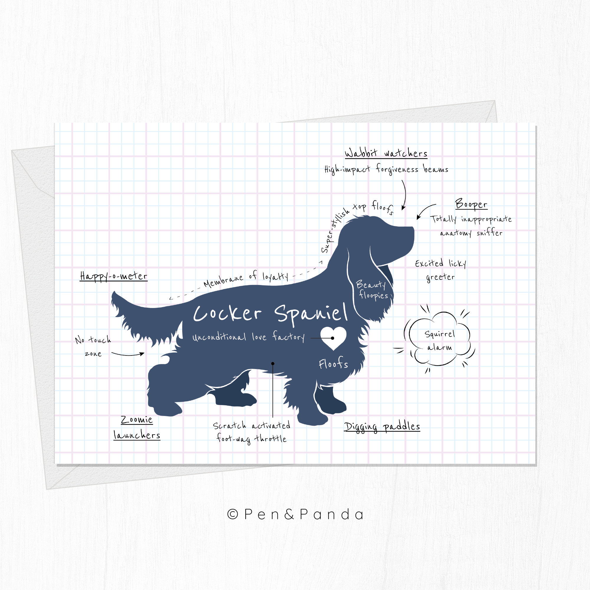 Anatomy of a Cocker Spaniel Illustrated Greeting Card - Etsy UK