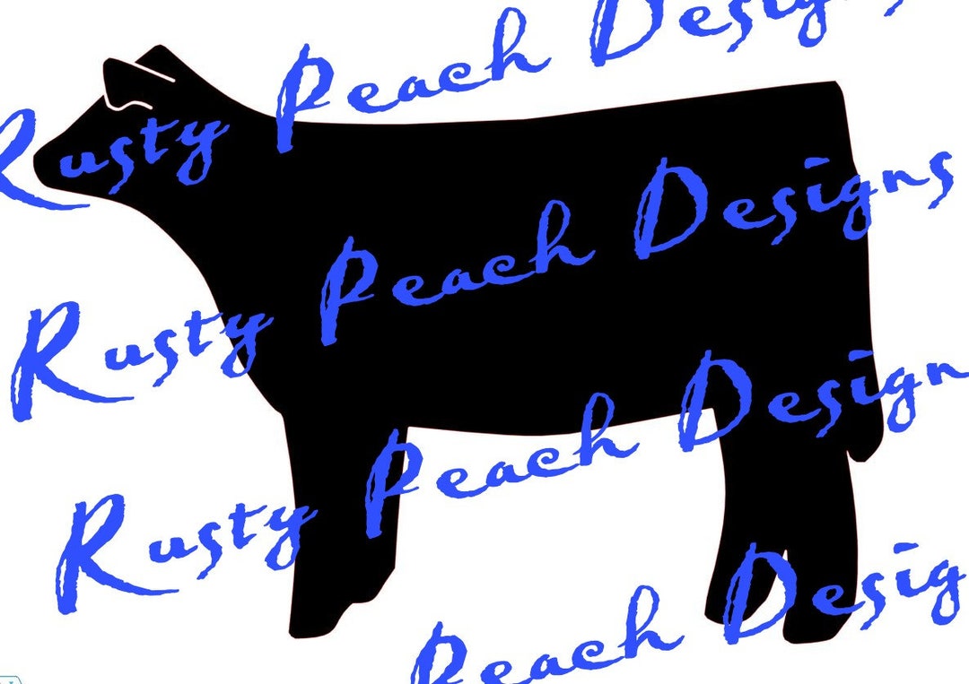 Angus Cow Cutting Files, Download, SVG, PNG, Studio, Studio3 ...