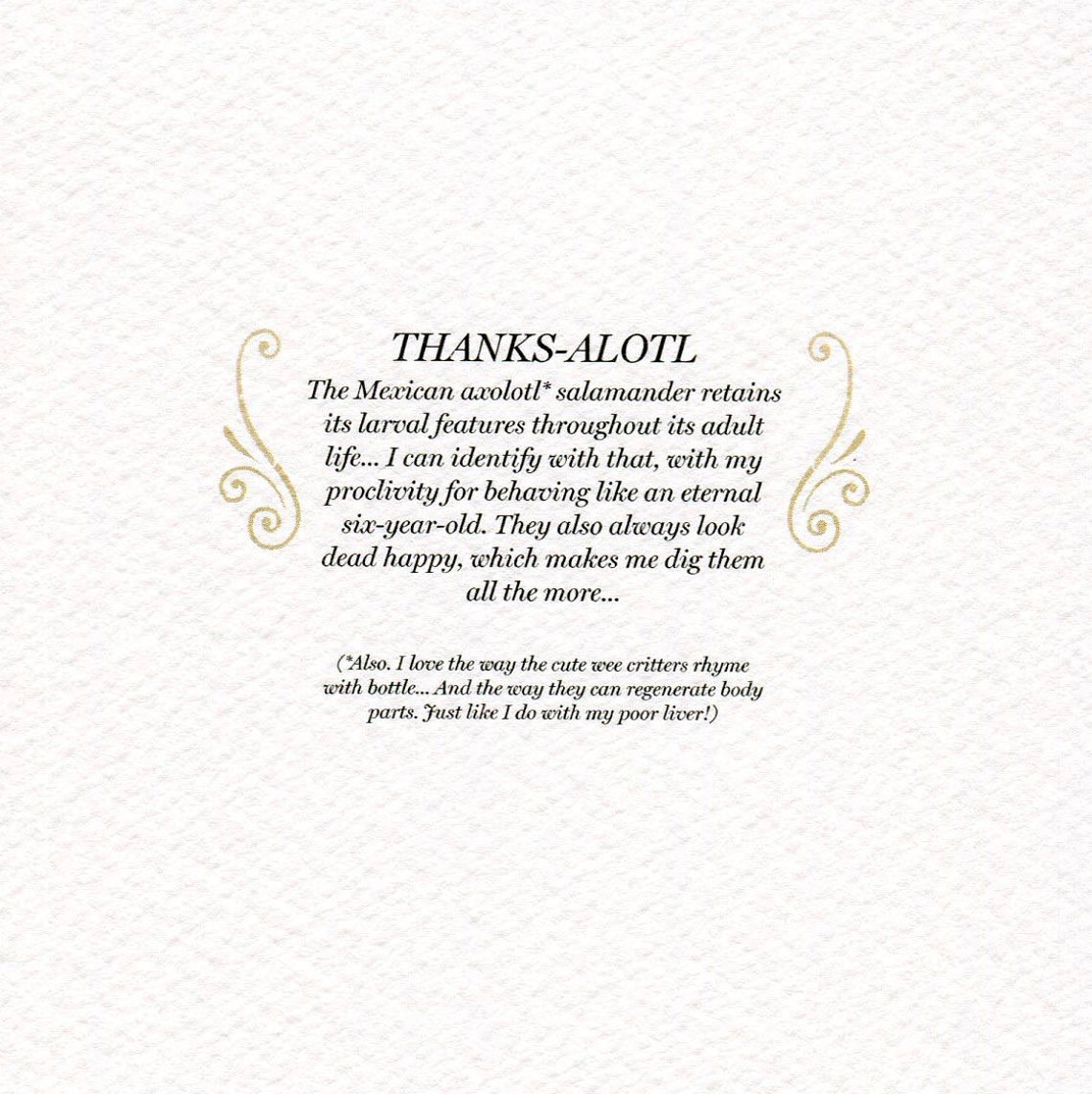 Axolotl Thank You Card, Thank You Mum - Etsy