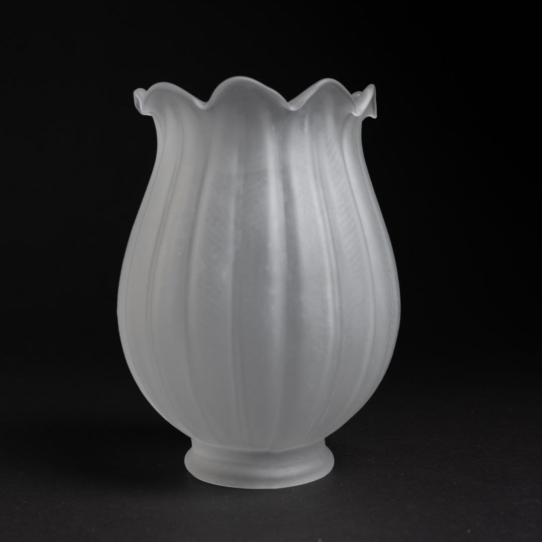 Acid Etched Glass Ribbed Tulip Shape Glass Shade - Etsy