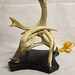 Deer Antler Desk Table Lamp Rustic Cabin Country Design Sportsman ...