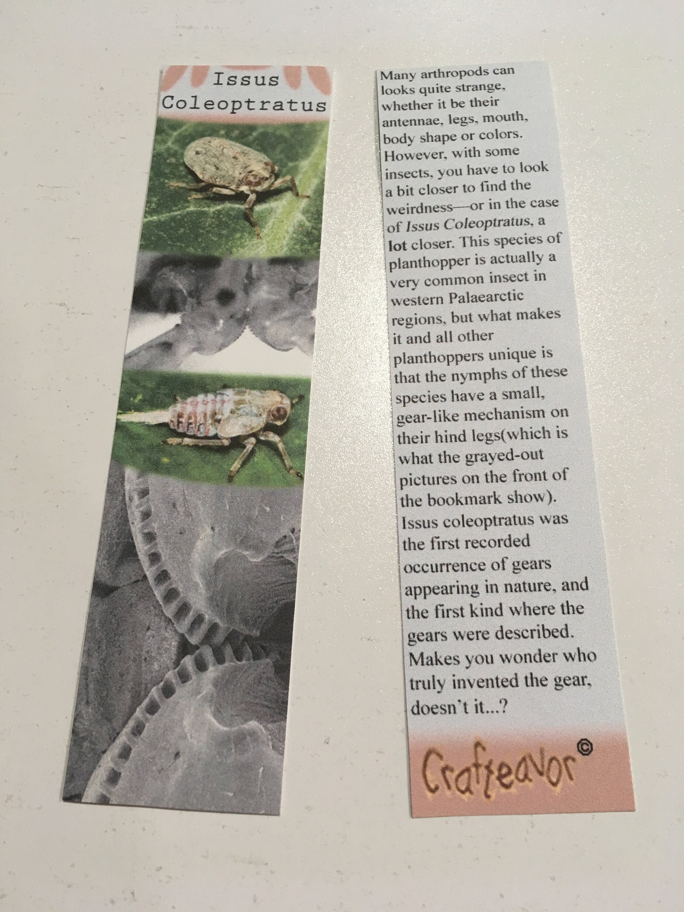 Insect Bookmarks - Etsy