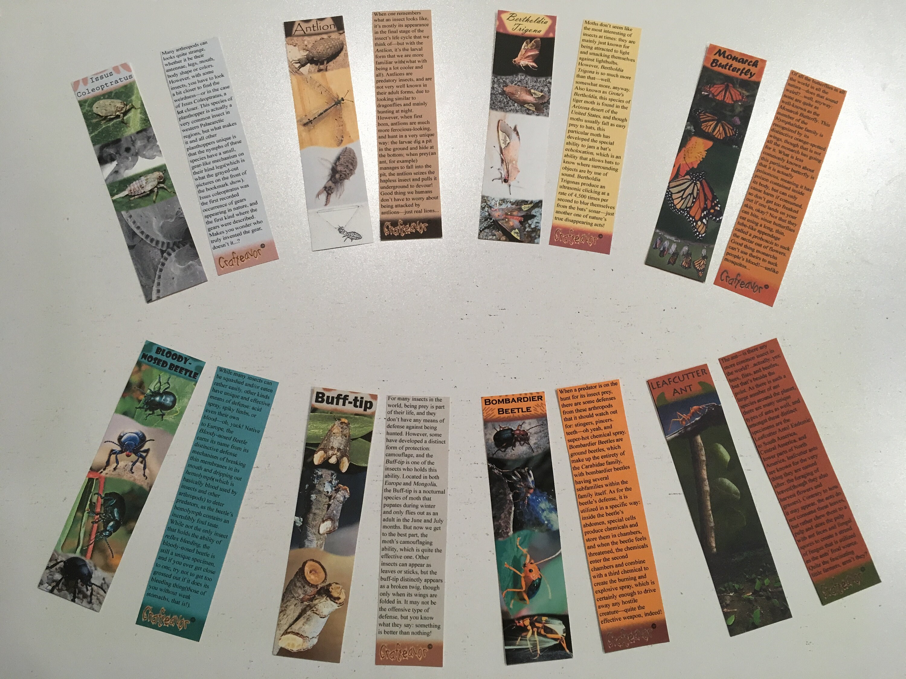 Insect Bookmarks - Etsy