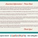 Molly Script Full Alphabet SVG Fonts Cutfile - Gorgeous Multiple ...