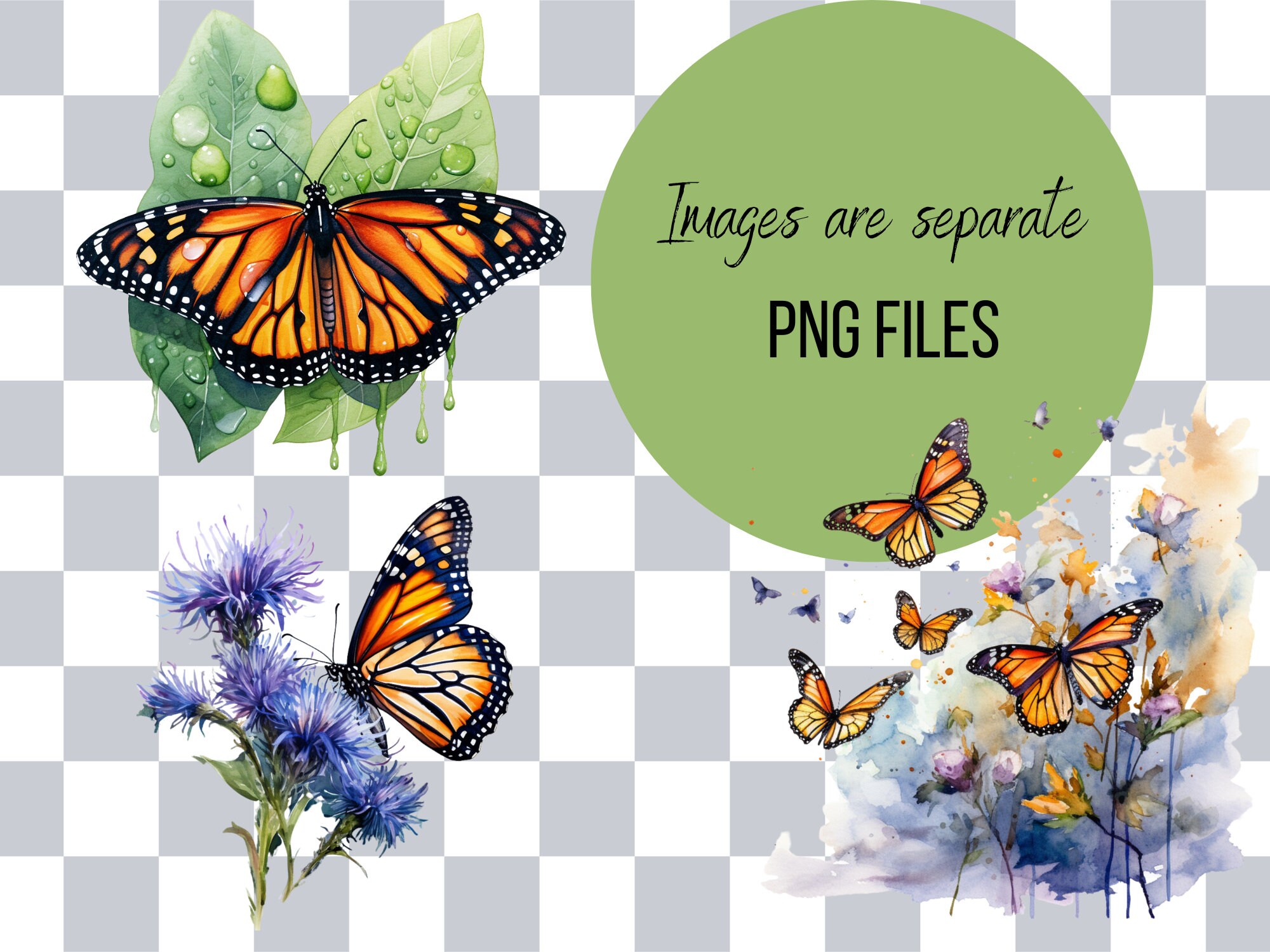 Monarch Butterfly Clipart, Monarch Butterfly PNG, Clipart Bundle ...