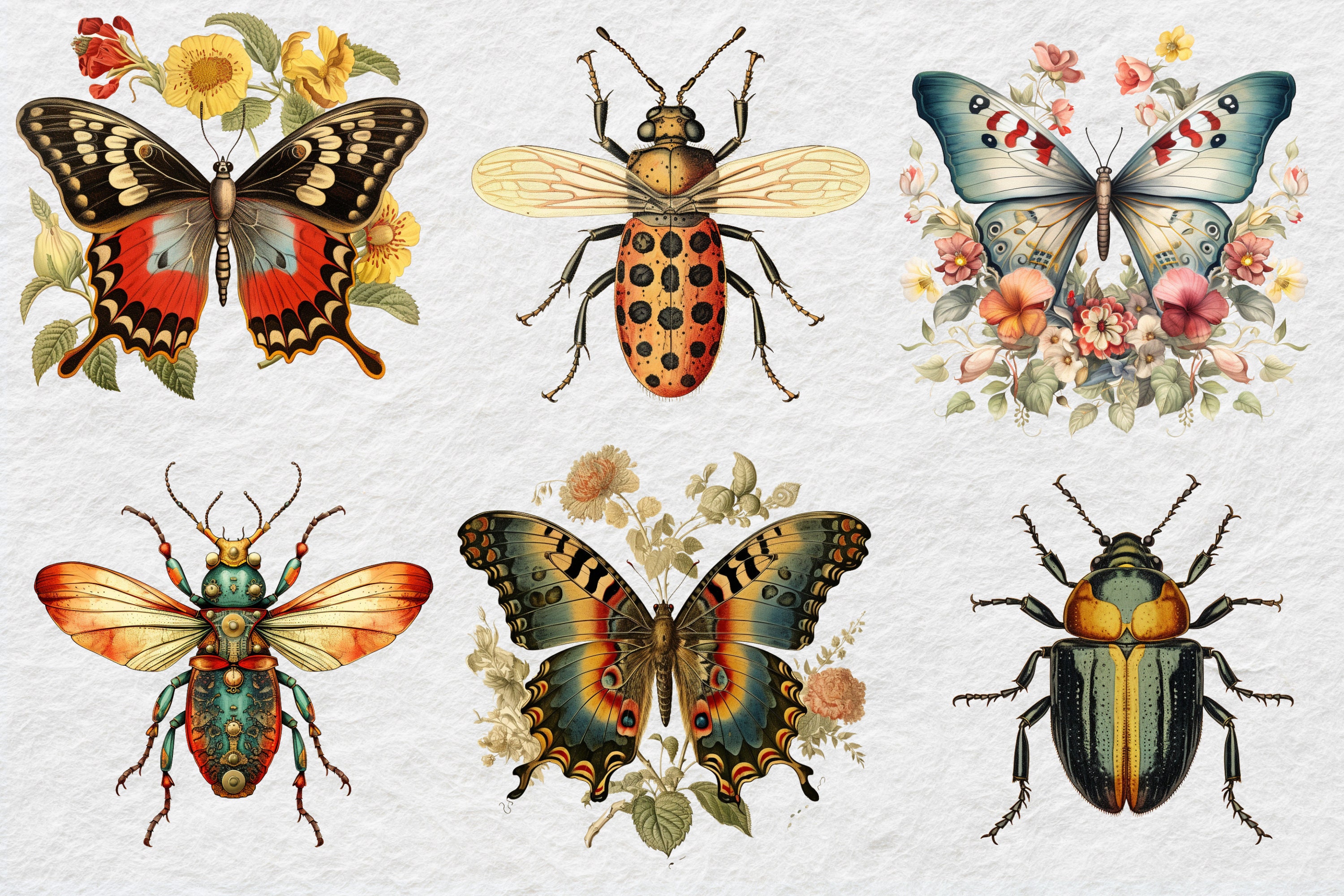 Watercolor Vintage Bugs Clip Art, Old Style Butterfly Drawing, Historic ...