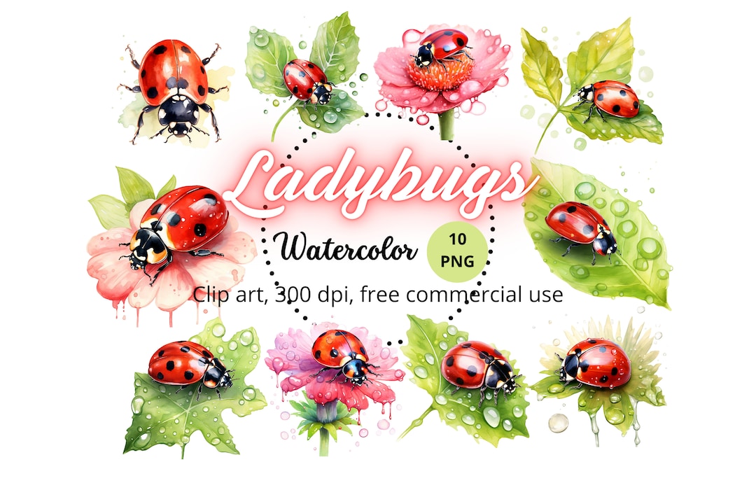 Watercolor Ladybug Clip Art, Lady Bug Clipart Graphics, Insect Print ...