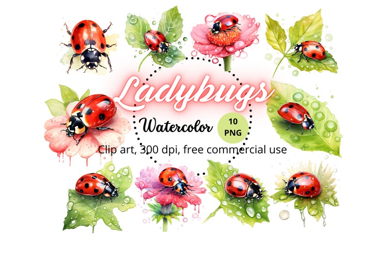 Watercolor Ladybug Clip Art, Lady Bug Clipart Graphics, Insect Print ...
