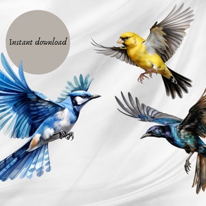 Watercolor Flying Birds Clip Art, Pretty Bird Printable, Goldfinch ...