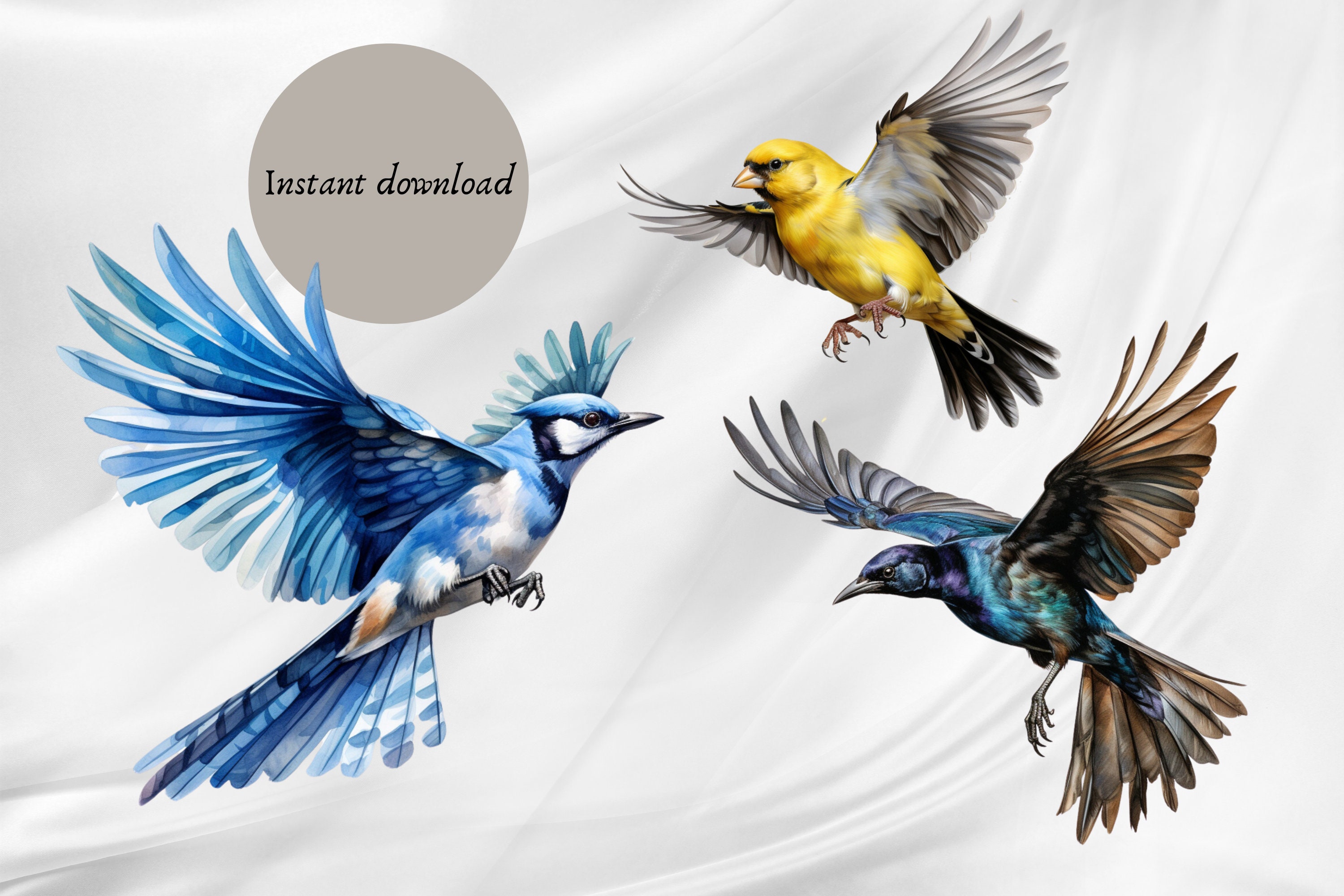 Watercolor Flying Birds Clip Art, Pretty Bird Printable, Goldfinch ...