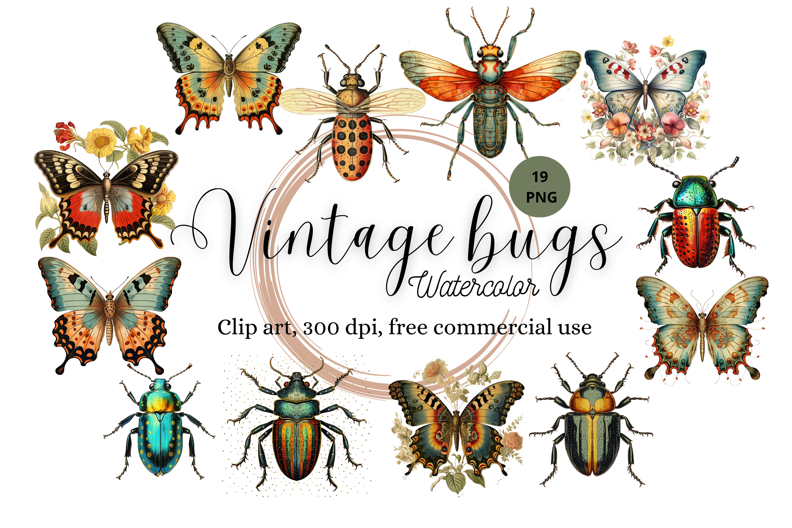 Watercolor Vintage Bugs Clip Art, Old Style Butterfly Drawing, Historic ...