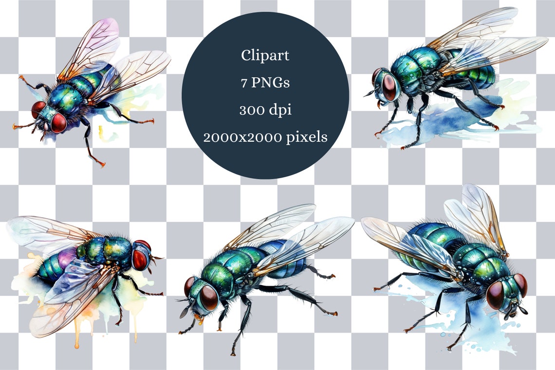 Fly Clipart, Flies, Insect Clipart, Flies Printable, Flies, Insect ...