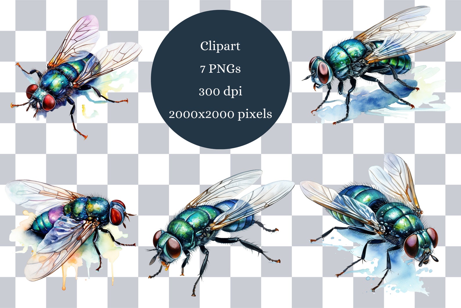 Fly Clipart, Flies, Insect Clipart, Flies Printable, Flies, Insect ...