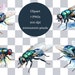 Fly Clipart, Flies, Insect Clipart, Flies Printable, Flies, Insect ...