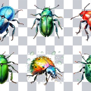 Watercolor Beetle Clip Art, Insect Clipart Graphics, Colorful Beetles ...