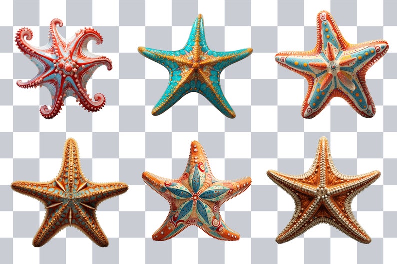 Starfish Clipart 3D Model, Seastar Printable, Ocean Animal, Seastar ...