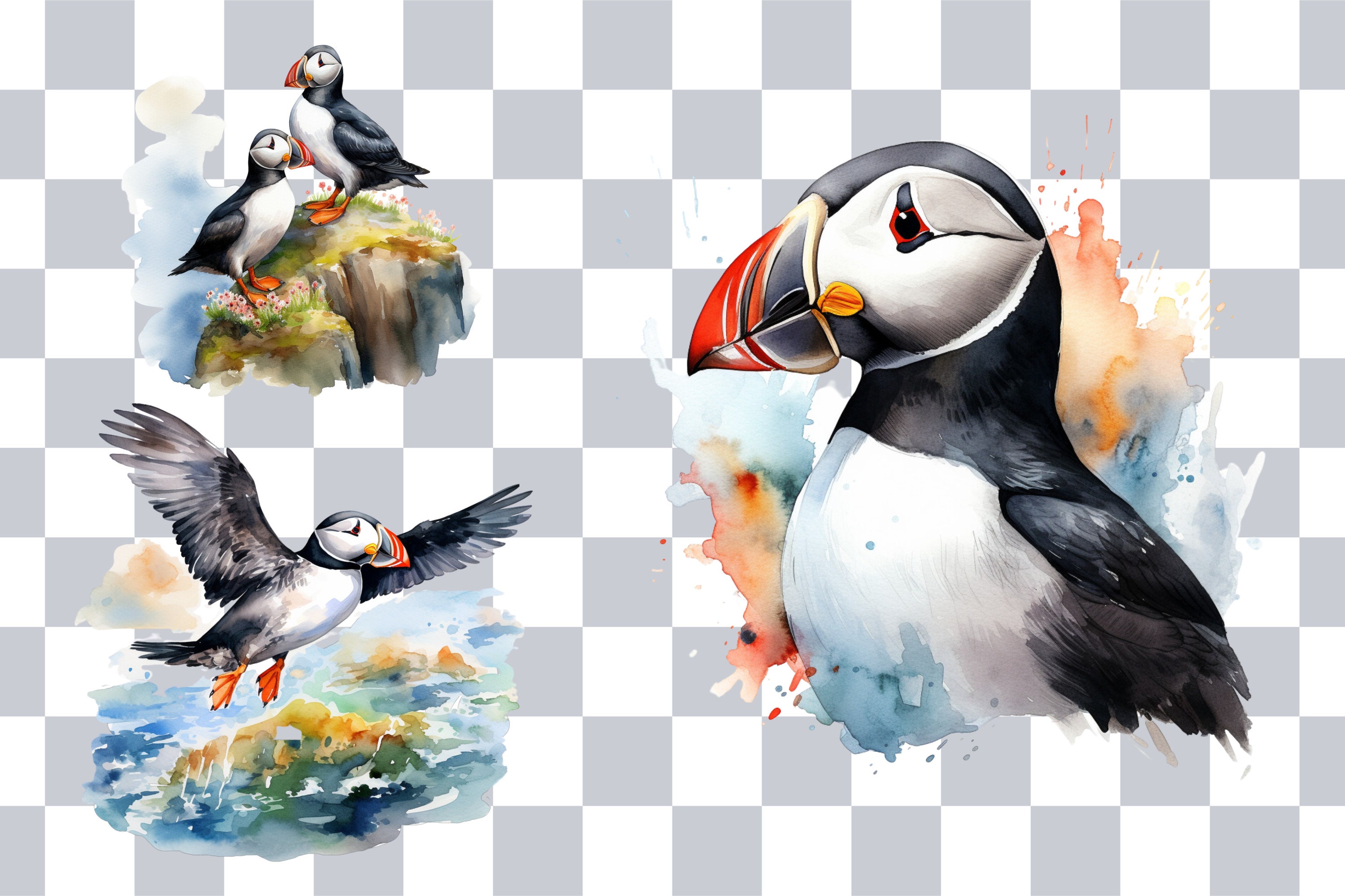 Watercolor Puffin Clip Art, Sea Parrot Clipart, Ocean Bird Graphics ...