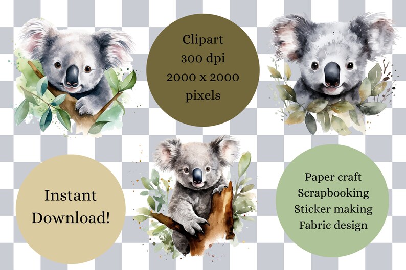 Watercolor Koala Bear Clip Art, Cute Animals Clipart, Baby Bears ...