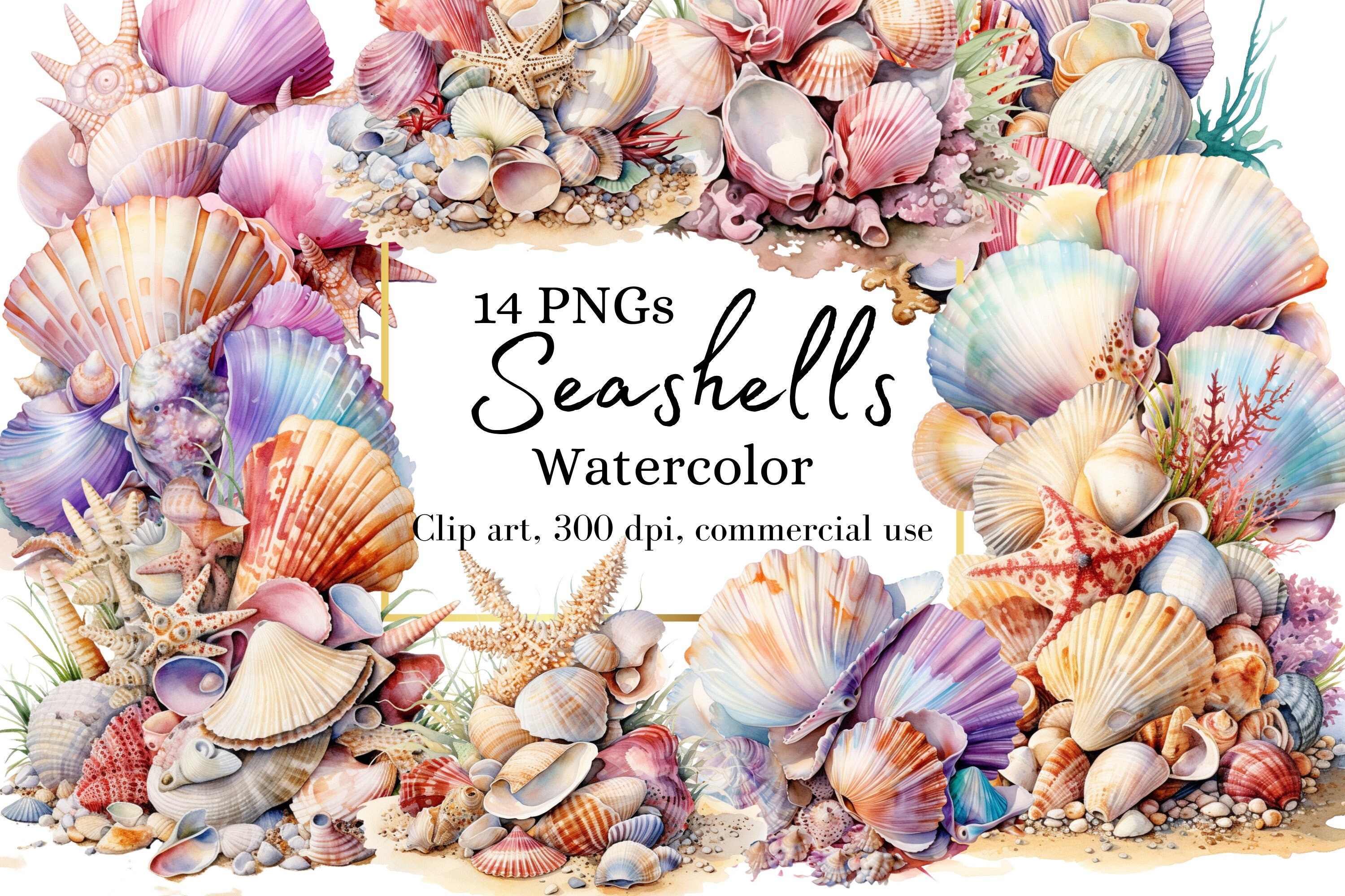 Seashell Printables, Seashell Bundle Clip Art, Watercolor Seashell ...
