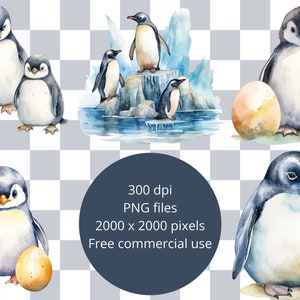 Watercolor Penguin Clip Art Png, Cute Penguin Graphics Design, Clipart ...