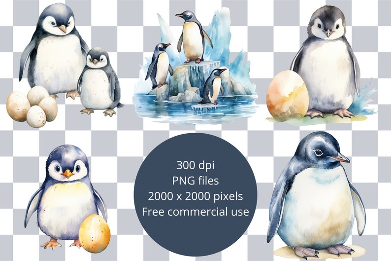 Watercolor Penguin Clip Art Png, Cute Penguin Graphics Design, Clipart ...