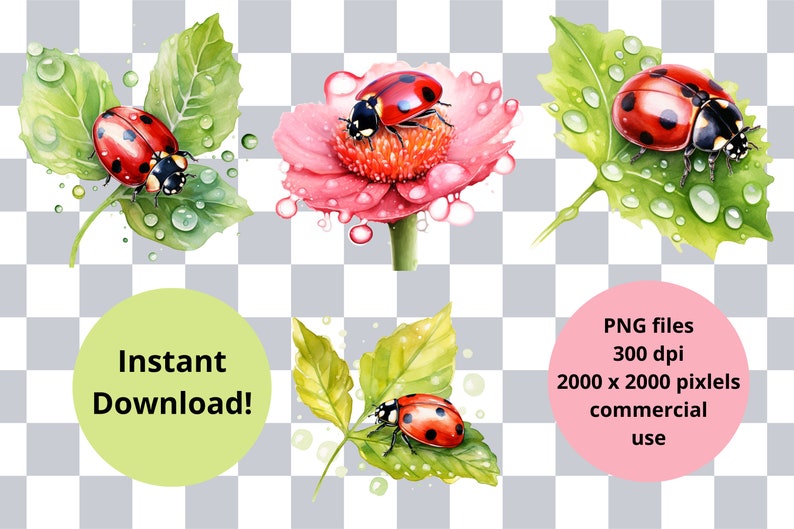 Watercolor Ladybug Clip Art, Lady Bug Clipart Graphics, Insect Print ...