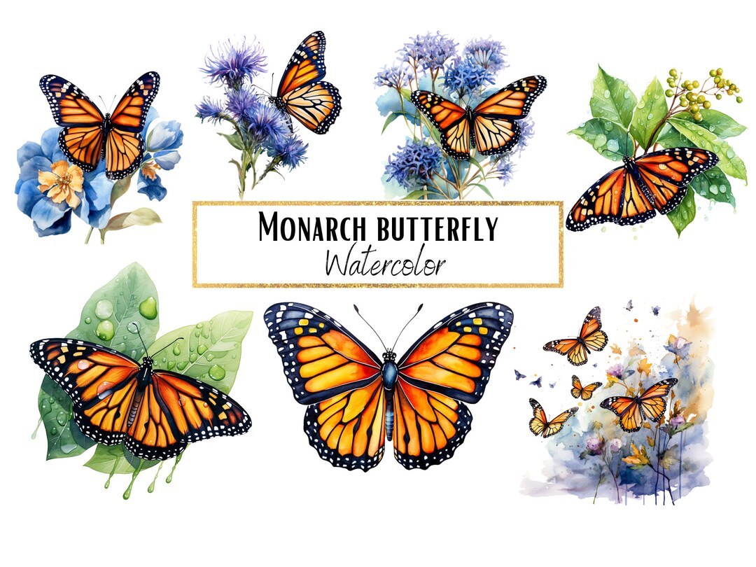 Monarch Butterfly Clipart, Monarch Butterfly PNG, Clipart Bundle ...