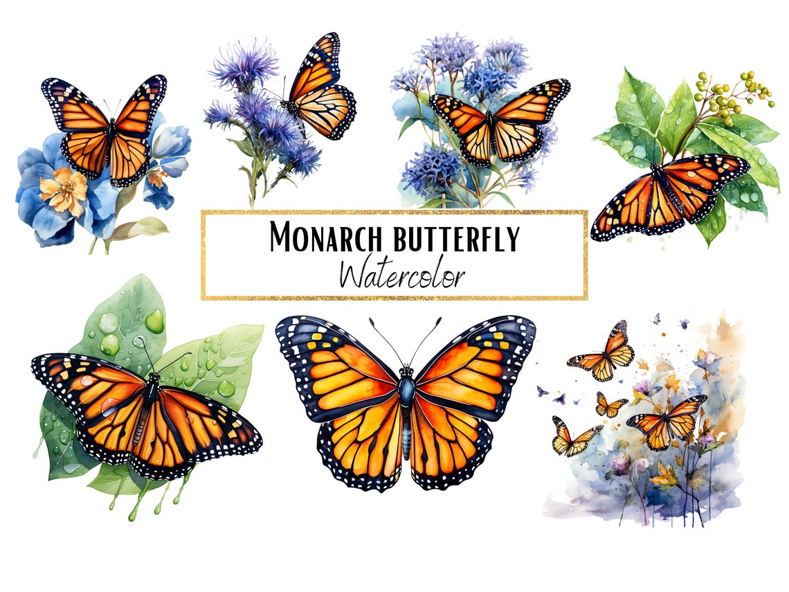 Monarch Butterfly Clipart, Monarch Butterfly PNG, Clipart Bundle ...