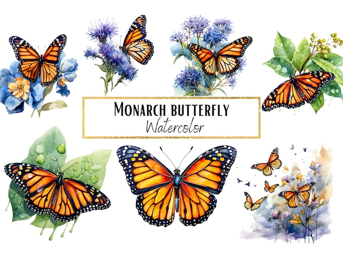 Monarch Butterfly Clipart, Flowers Clipart, 15 JPG Files With White ...