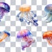 Jellyfish Clipart, Jellyfish Printable, Marine Animal Clipart, Marine ...