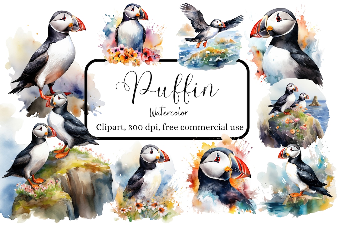 Watercolor Puffin Clip Art, Sea Parrot Clipart, Ocean Bird Graphics ...