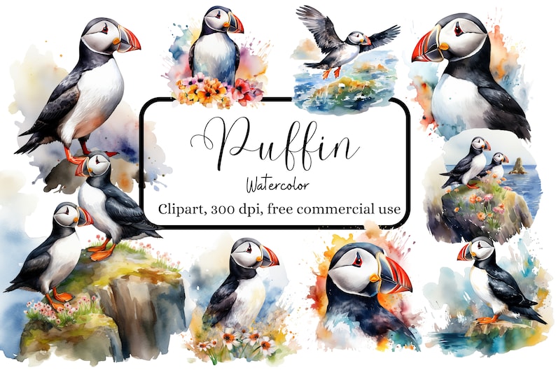 Watercolor Puffin Clip Art, Sea Parrot Clipart, Ocean Bird Graphics ...
