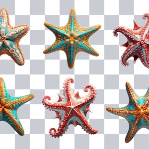 Starfish Clipart 3D Model, Seastar Printable, Ocean Animal, Seastar ...