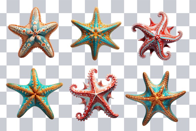 Starfish Clipart 3D Model, Seastar Printable, Ocean Animal, Seastar ...