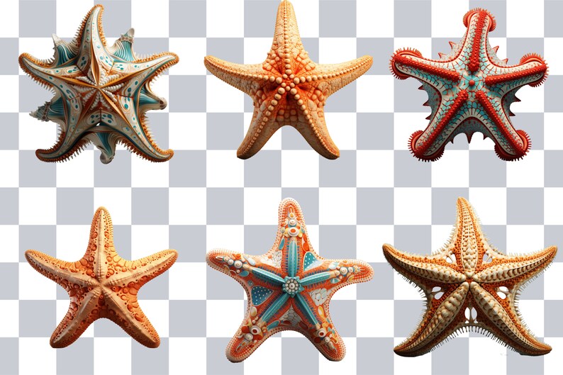 Starfish Clipart 3D Model, Seastar Printable, Ocean Animal, Seastar ...