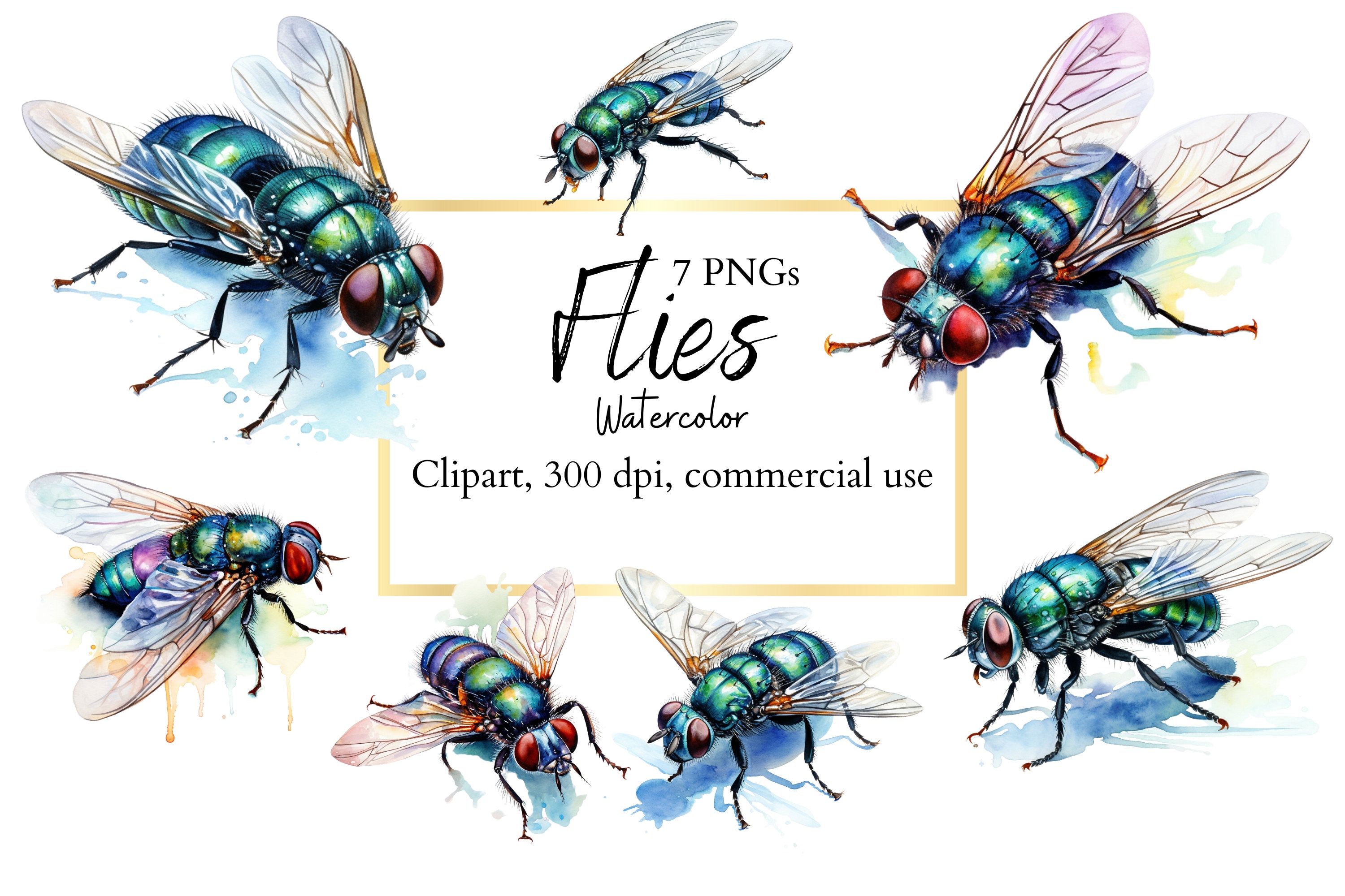 Flies Clipart