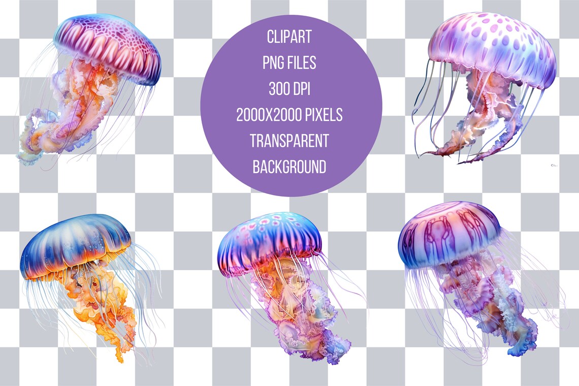 Jellyfish Clipart, Jellyfish Printable, Marine Animal Clipart, Marine ...