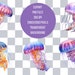 Jellyfish Clipart Jellyfish Printable Marine Animal Clipart - Etsy