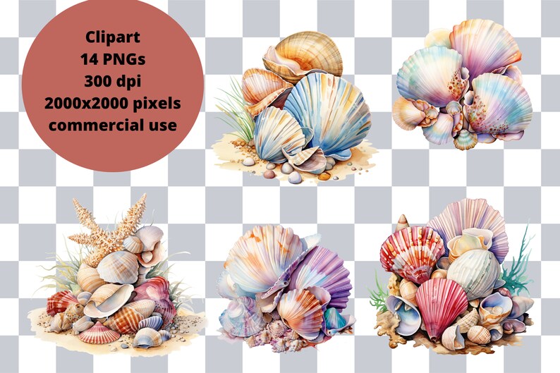 Seashell Printables, Seashell Bundle Clip Art, Watercolor Seashell ...