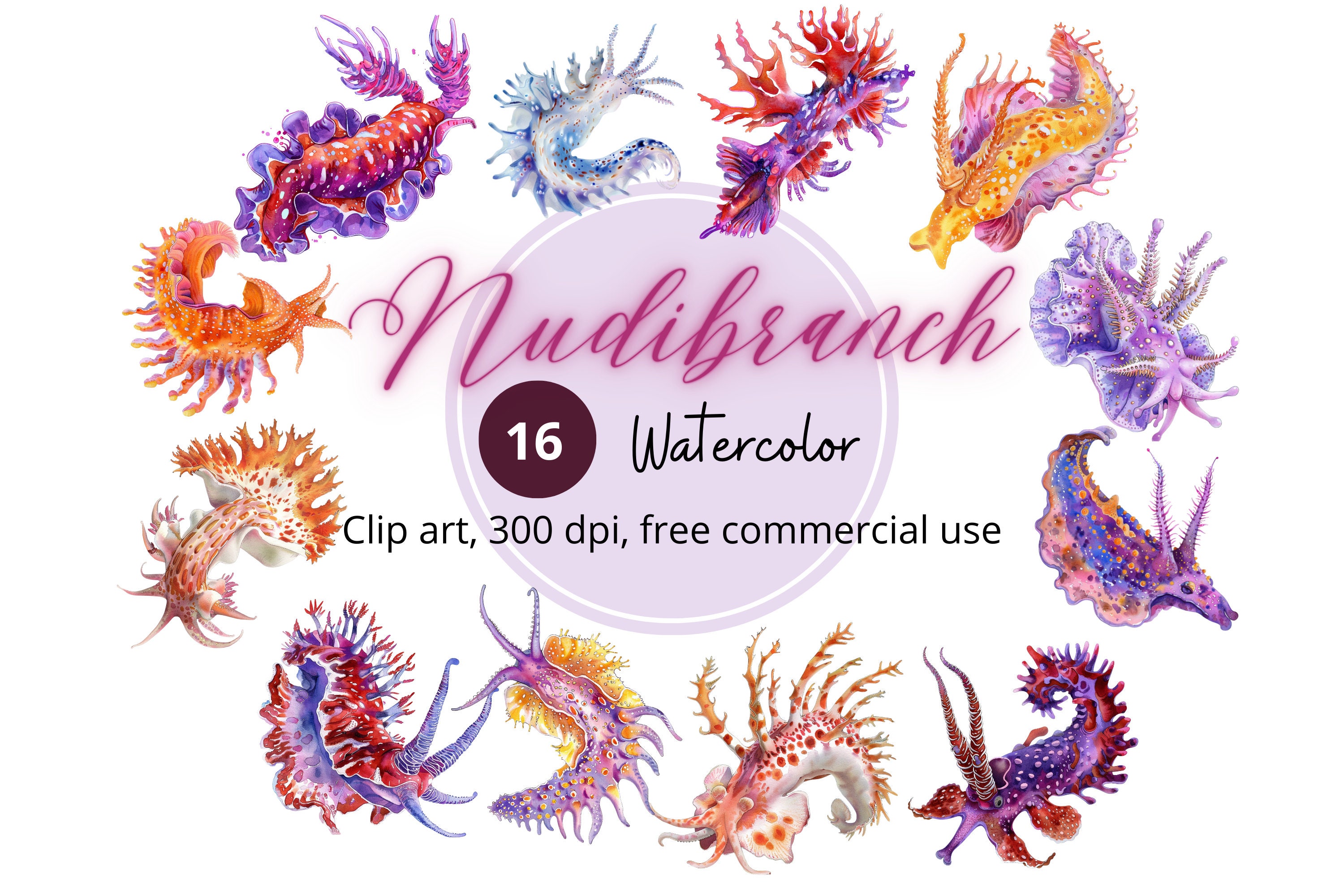 Watercolor Nudibranch Clip Art, Ocean Creatures Clipart, Snail Graphics ...