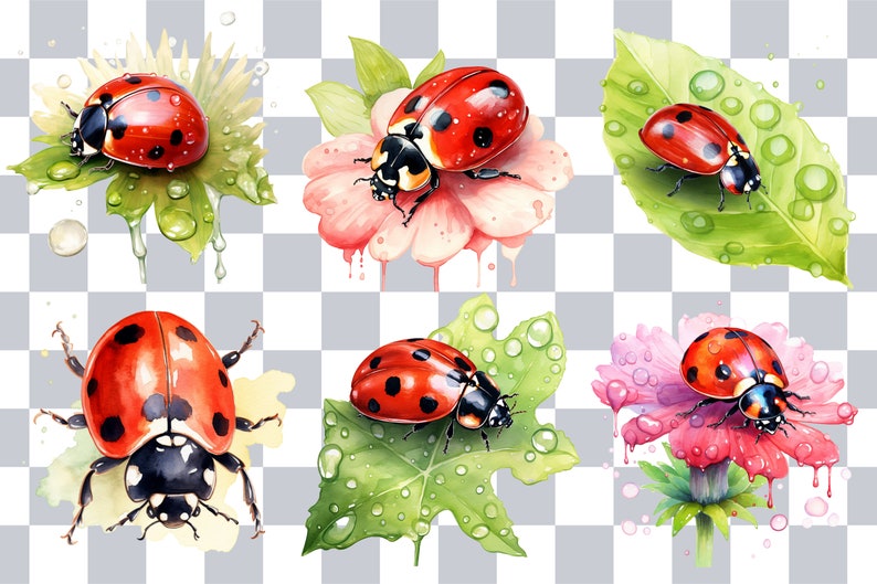 Watercolor Ladybug Clip Art, Lady Bug Clipart Graphics, Insect Print ...