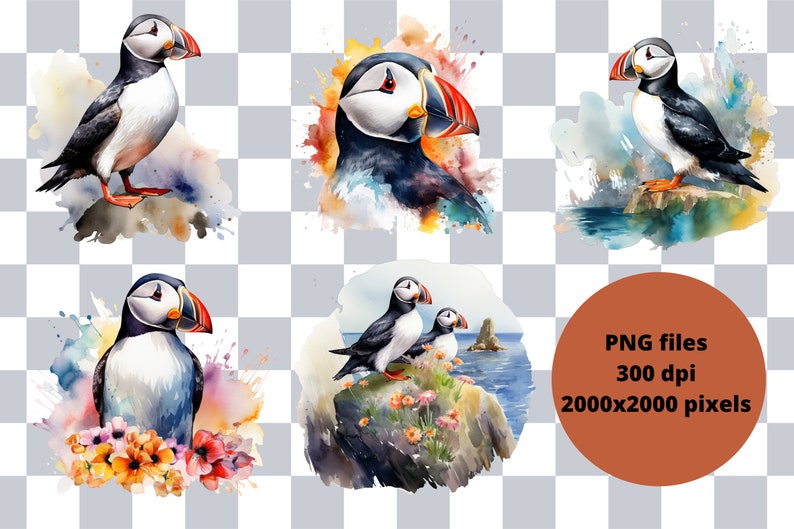 Watercolor Puffin Clip Art, Sea Parrot Clipart, Ocean Bird Graphics ...