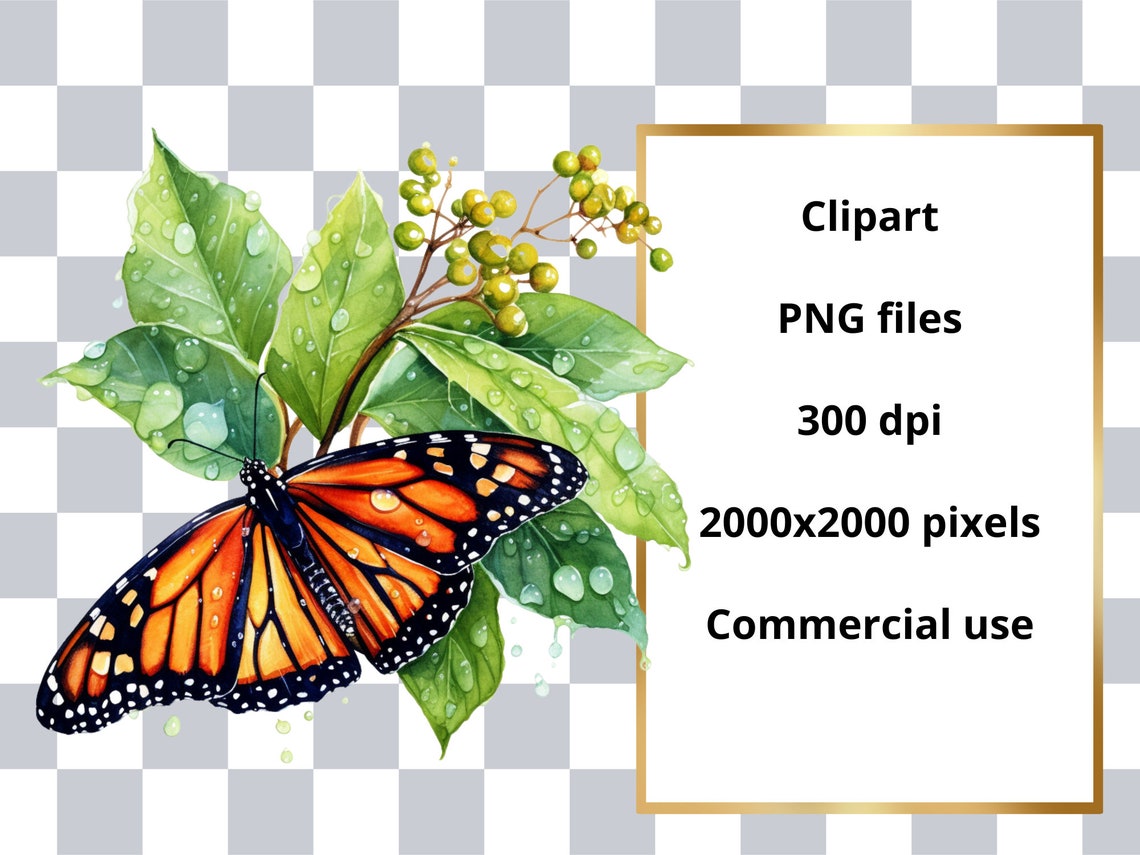 Monarch Butterfly Clipart, Monarch Butterfly PNG, Clipart Bundle ...