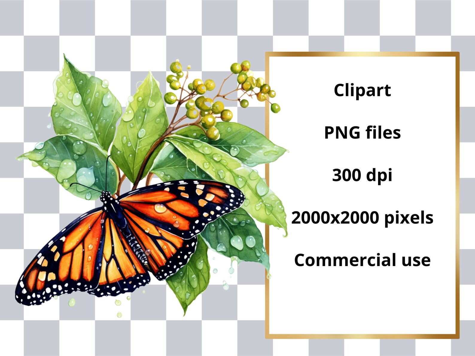 Monarch Butterfly Clipart, Monarch Butterfly PNG, Clipart Bundle ...