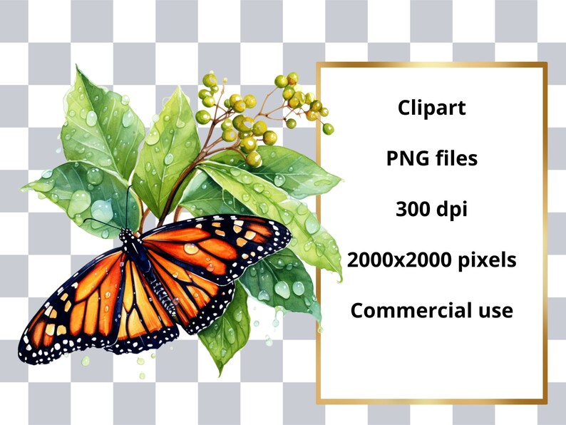 Monarch Butterfly Clipart, Monarch Butterfly PNG, Clipart Bundle ...