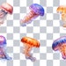 Jellyfish Clipart, Jellyfish Printable, Marine Animal Clipart, Marine ...