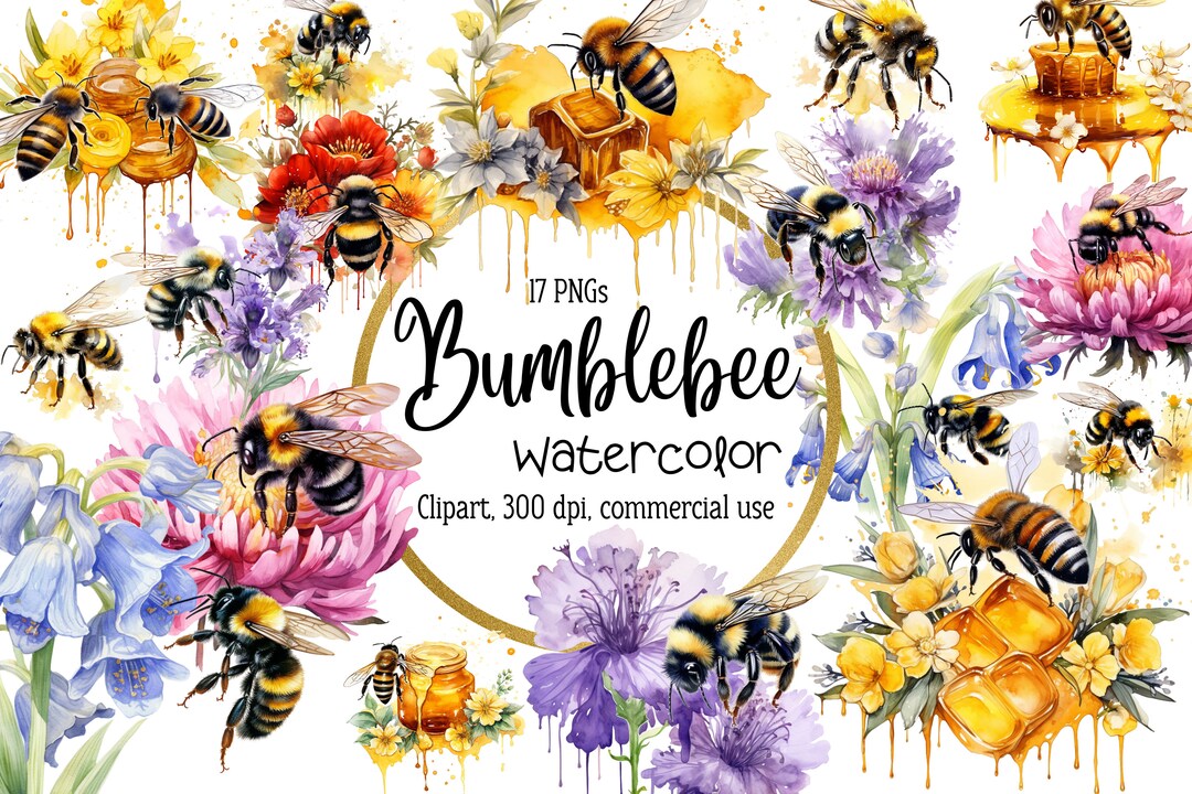 Watercolor Bumblebee Clip Art, Flower and Bee Clipart, Flying Insect ...